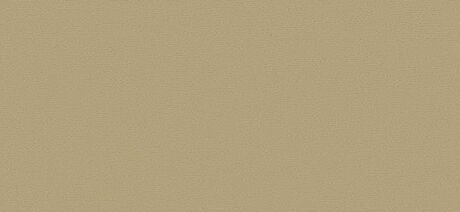 Salamander Farben und Dekore - fensterblick.de